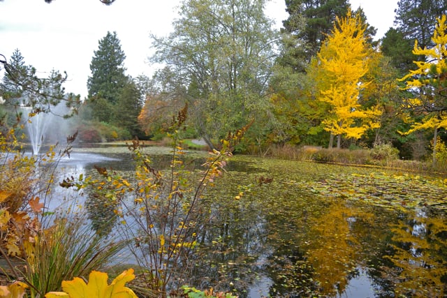 VanDusen Botanical Garden • Vancouver Heritage Foundation